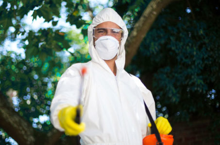 Brothers Pest Control - Lawn Care and Pest Control - South Tampa Area