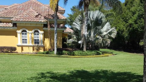 Brothers Pest Control - Lawn Care and Pest Control - South Tampa Area