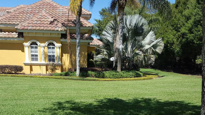 Brothers Pest Control - Lawn Care and Pest Control - South Tampa Area